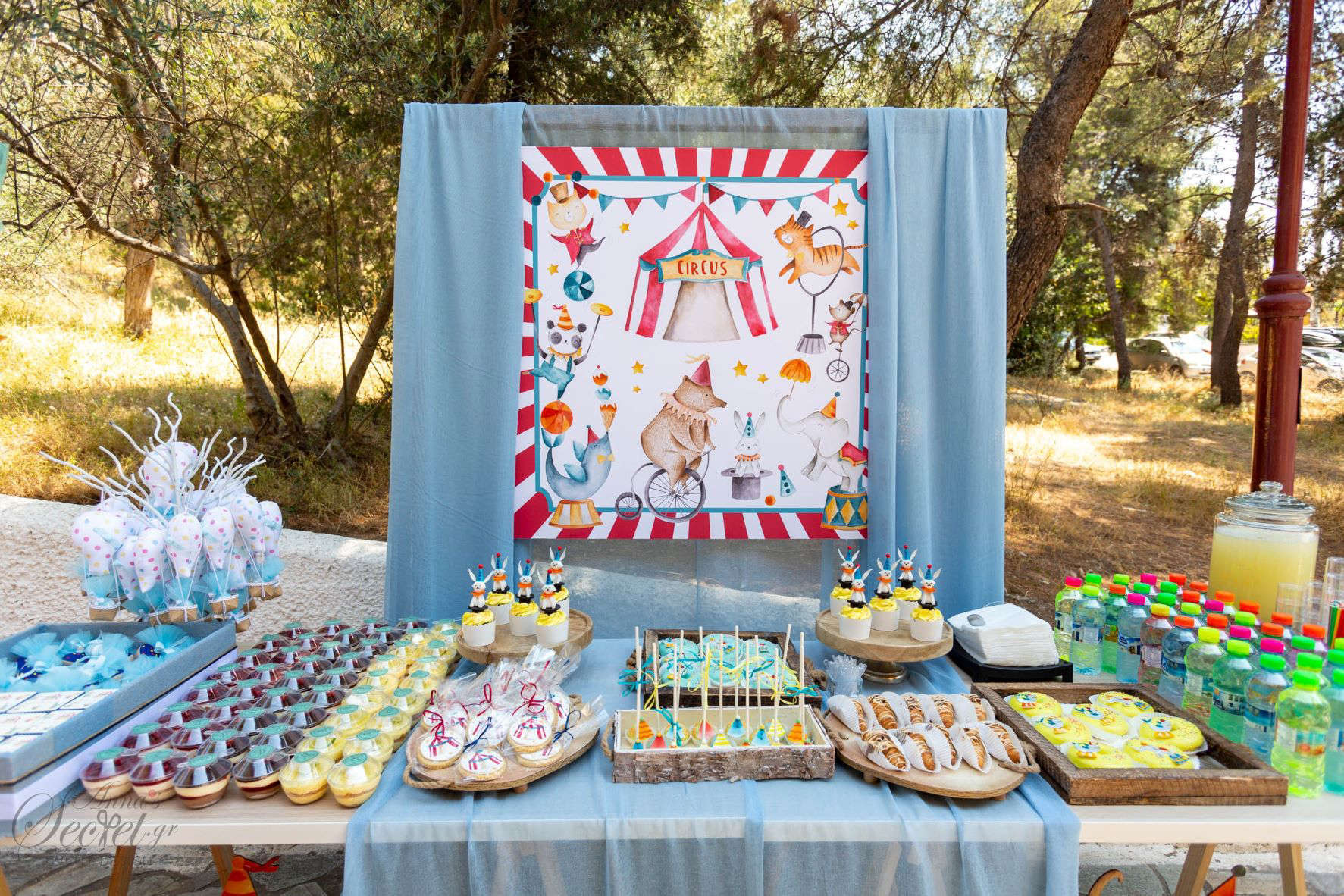 στολισμός βάπτισης circus, βάπτιση, βαφτίσια, διακόσμηση βάπτισης με ...